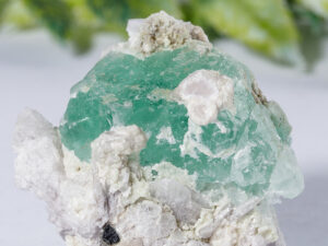 Albite Specimen Wholesale Suppliers in USA | Buy Albite Specimen ...